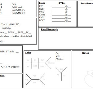 ICU RN Report Sheet Intensive Care Report Sheet for Nurses Digital ...