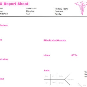 RN ICU Report Sheet Critical Care Report Sheet for ICU Nurses - Etsy