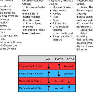Arterial Blood Gas Cheat Sheet for Nurses | ABG Flow Sheet | Nursing ...