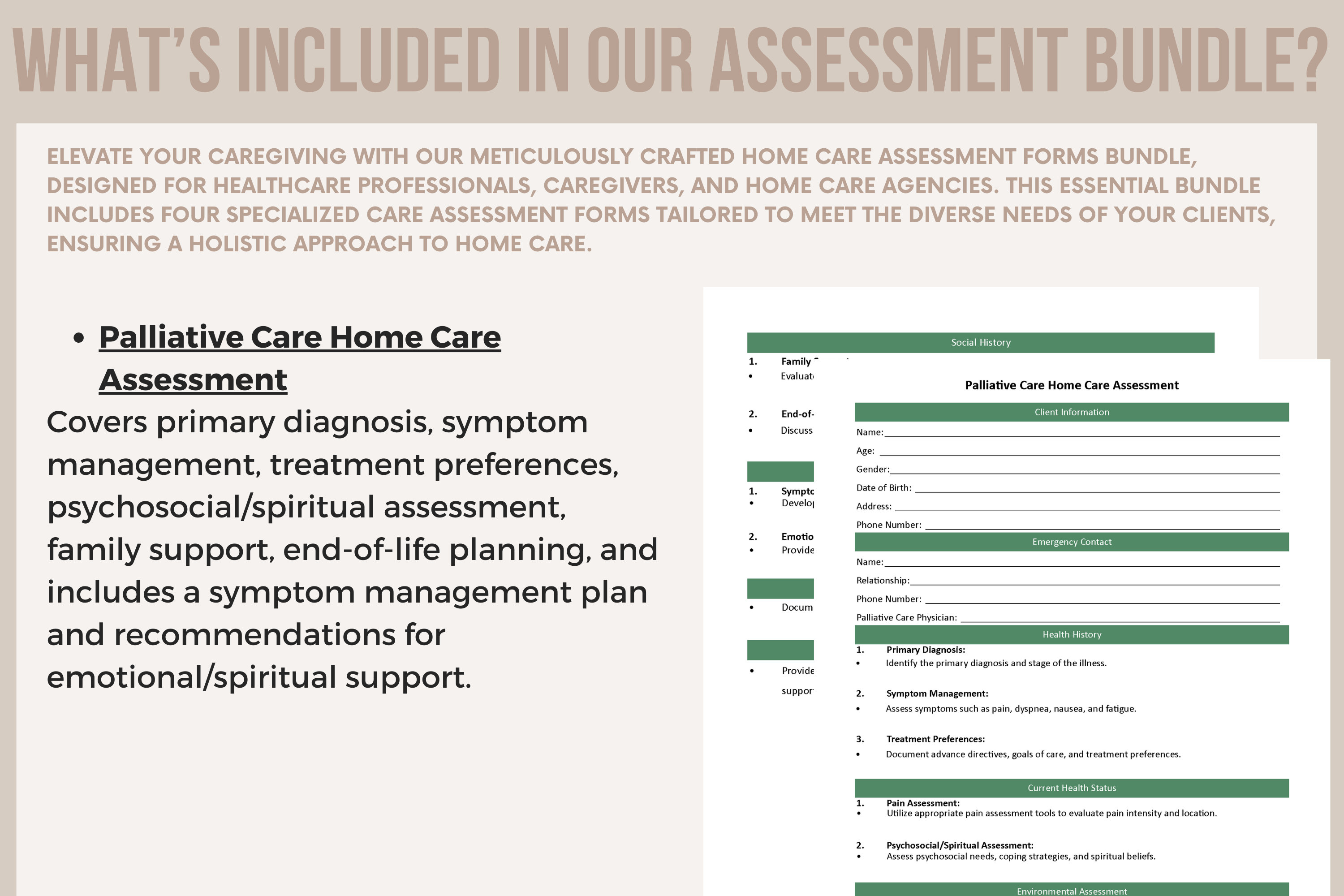 Home Care Assessment Fillable Form Template, Home Care Client Care ...