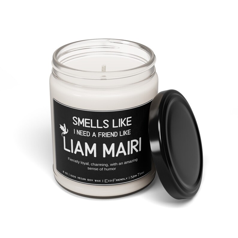 Smells Like I Need a Friend Like Liam Mairi | Fourth Wing Vegan Candle ...