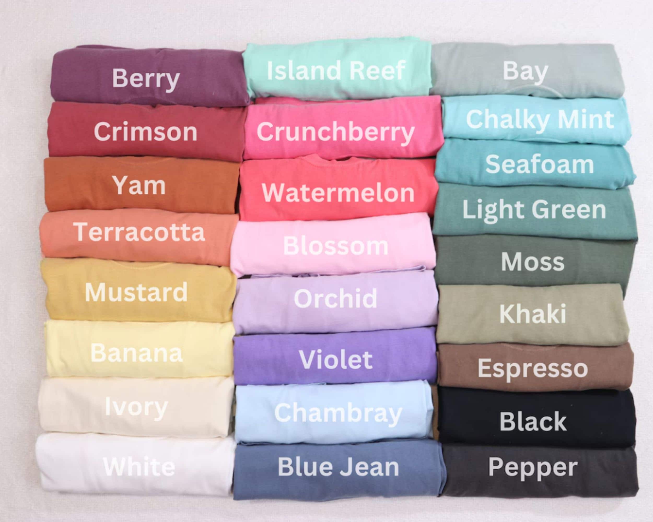 Fourth Wing Shirt | Violent Little Thing | Comfort Color | Fourth Wing ...