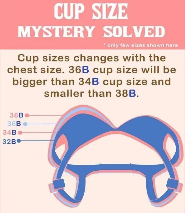 Professional Beige Removeable Push-up Triangle Foam Bra Inserts Pads ...