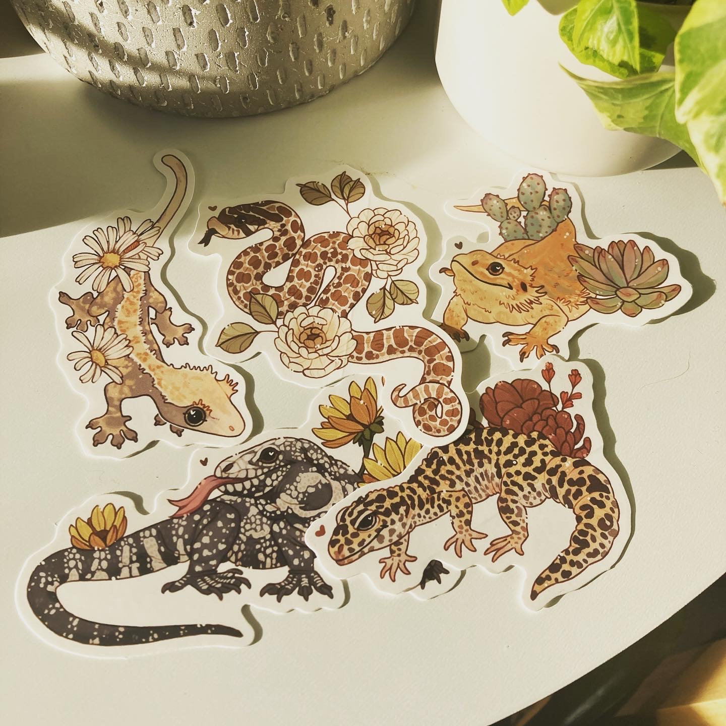 Reptile Stickers: Crestie, Hognose, Dragon, Tegu - Etsy