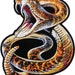 Rattlesnake Native American Snake Jacket Vest Back Patch [11.0 High X 9 ...