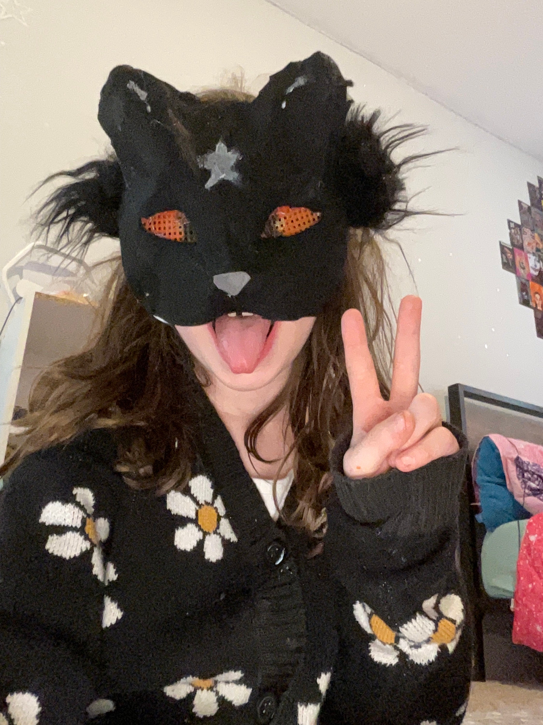 Therian Mystery Box With Therian Mask - Etsy Australia