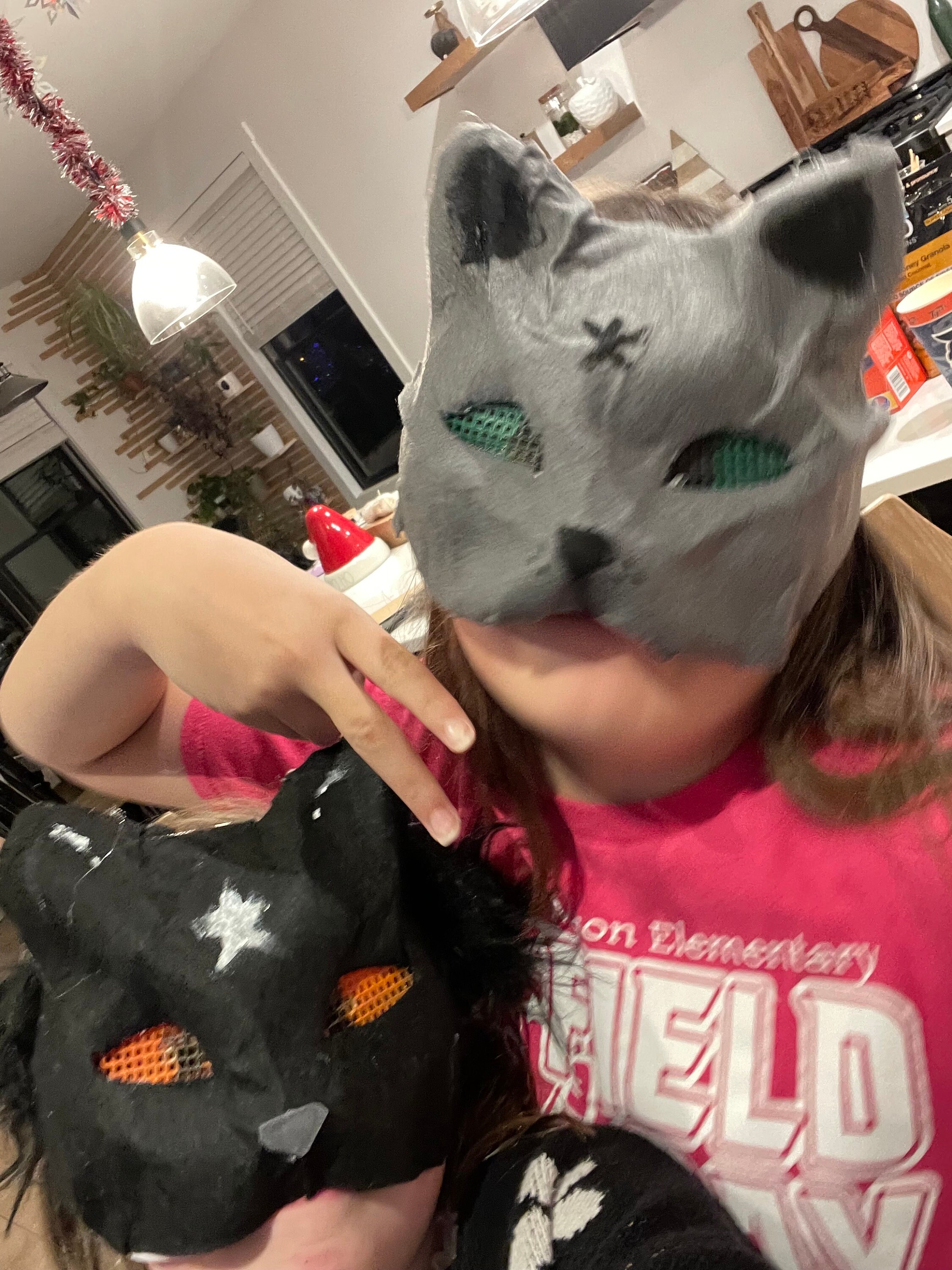 Therian Mystery Box With Therian Mask - Etsy Australia