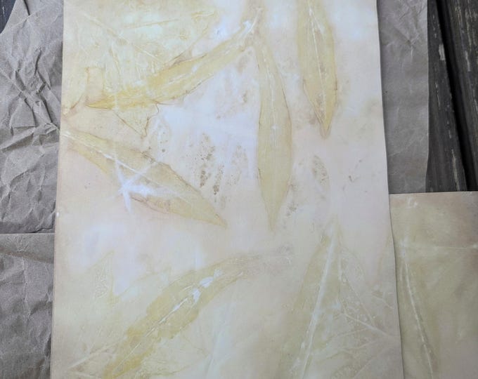10 Full Size Eco Prints With Himalayan Rhubarb Dye on 32 Pound Paper - Etsy