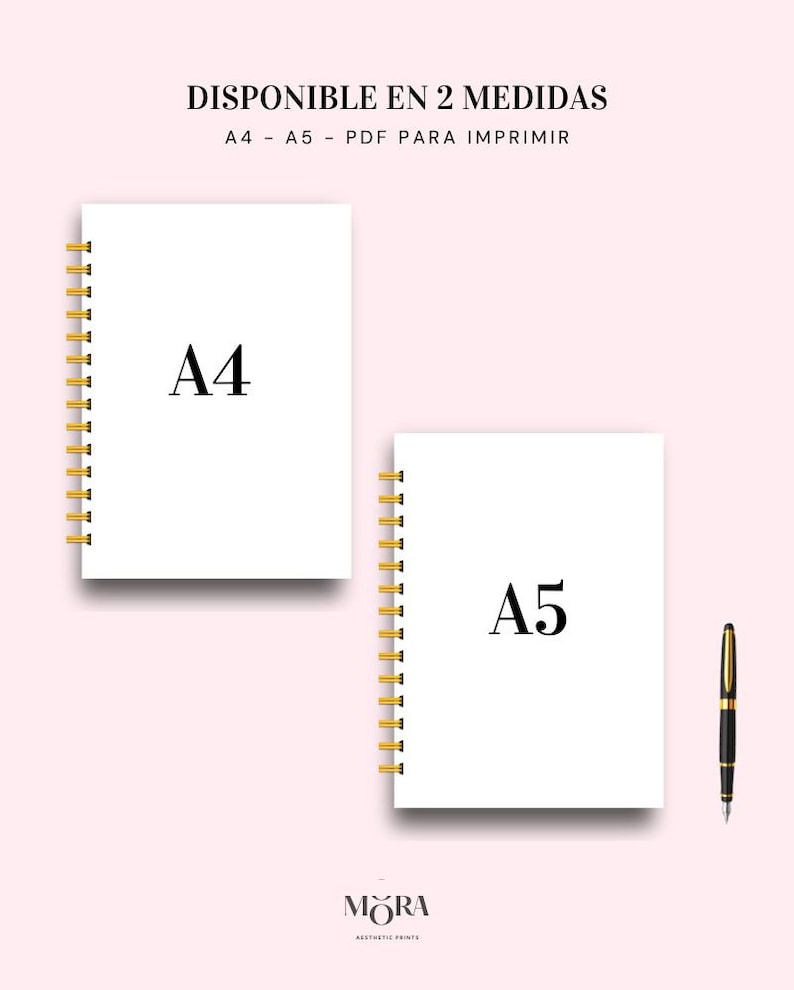 Gratitude Journal in Spanish DIARY FORMAT | PDF 4 Versions | 4 Covers ...