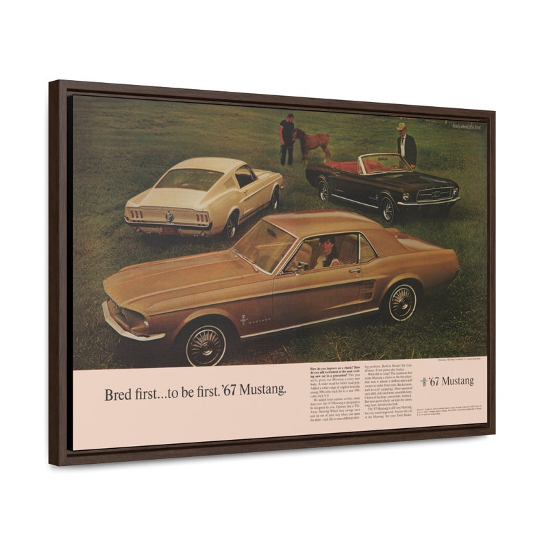 1967 Mustang Fastback 2+2 and Convertible Gallery Canvas Wraps ...