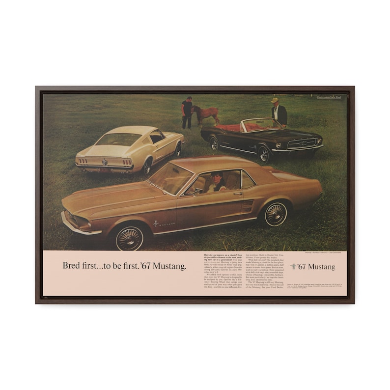 1967 Mustang Fastback 2+2 and Convertible Gallery Canvas Wraps ...