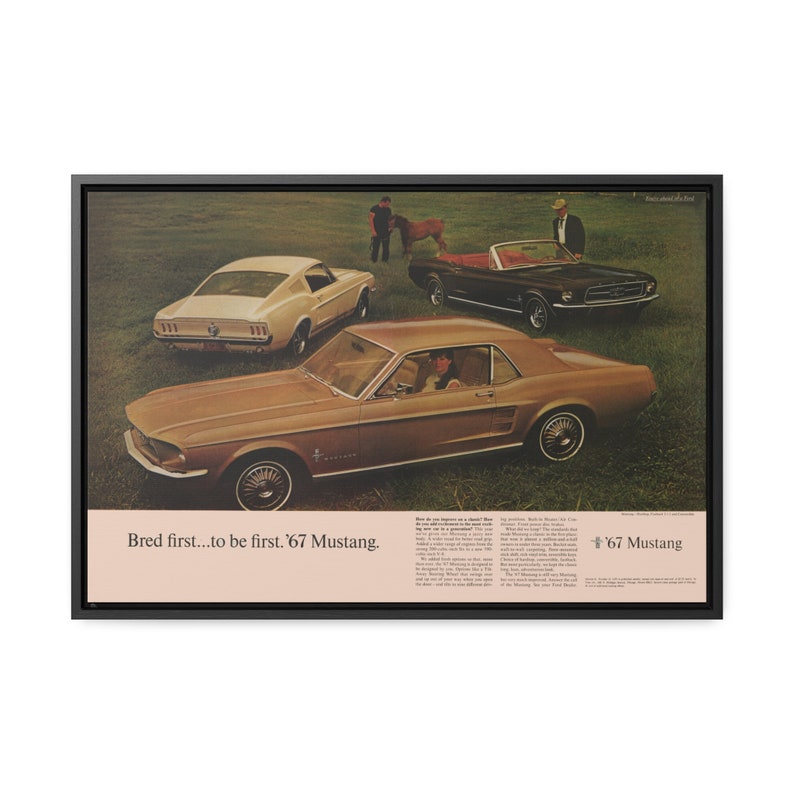 1967 Mustang Fastback 2+2 and Convertible Gallery Canvas Wraps ...