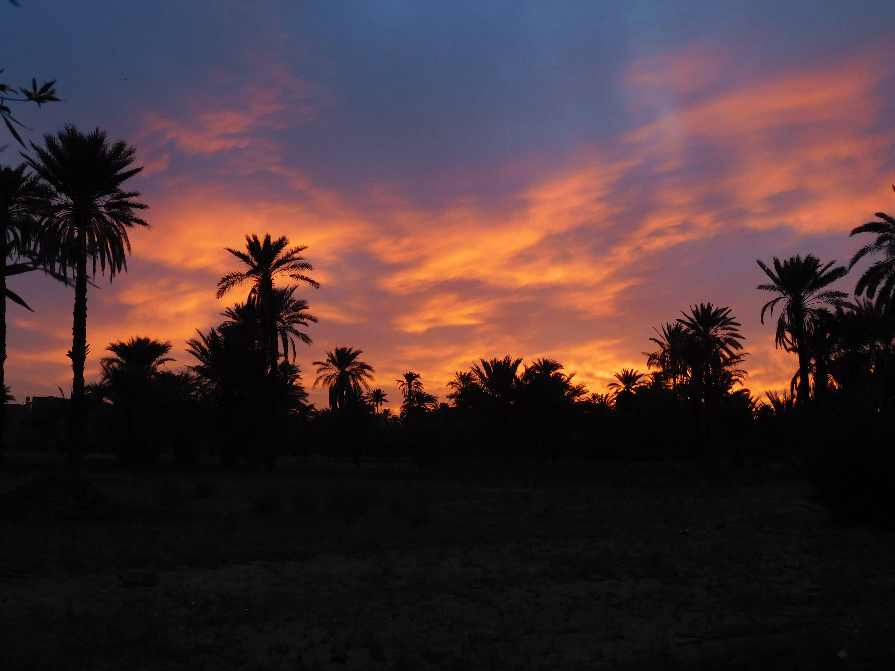 The Most Beautiful Sunset in Morocco - Etsy