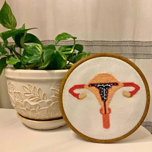 Female Reproductive System Embroidery and IUD Display, Friend Gift ...