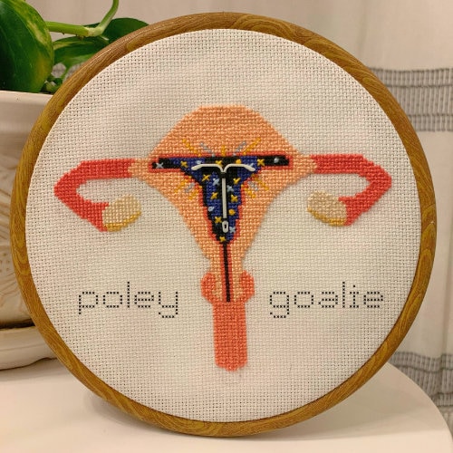 Female Reproductive System Embroidery and IUD Display, Friend Gift ...
