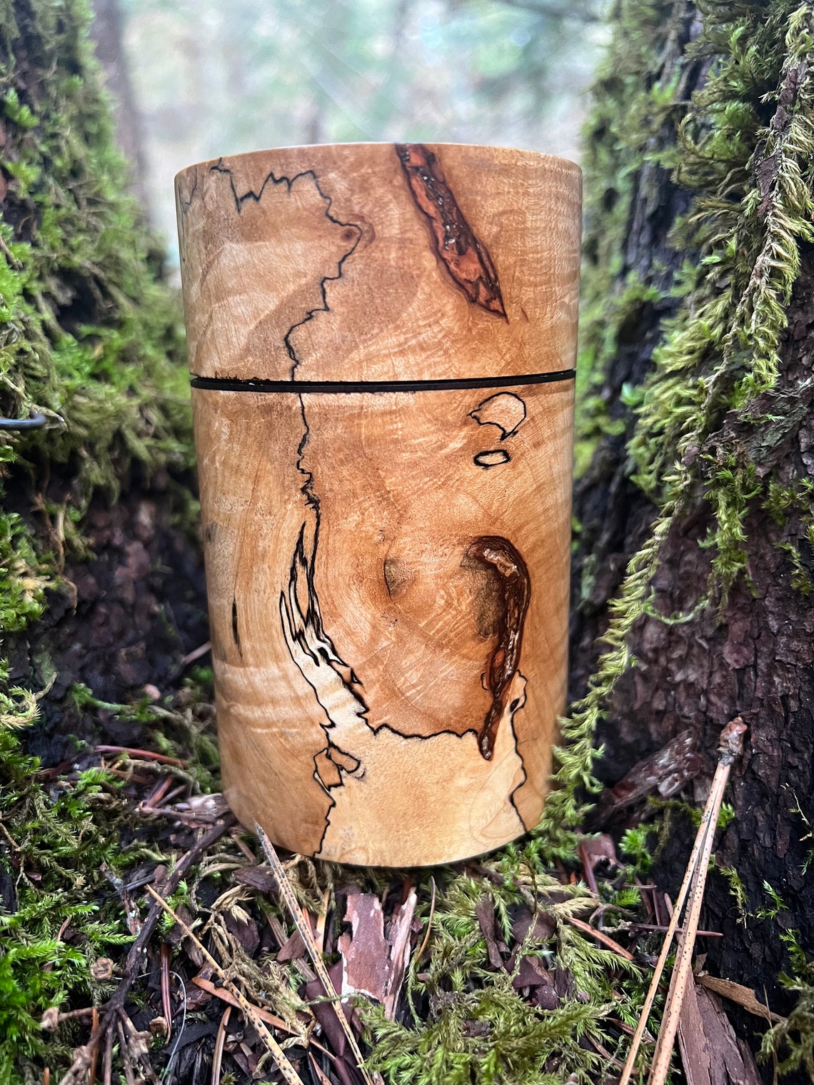 Figured Spalted Maple Box With African Blackwood #0109 - Etsy