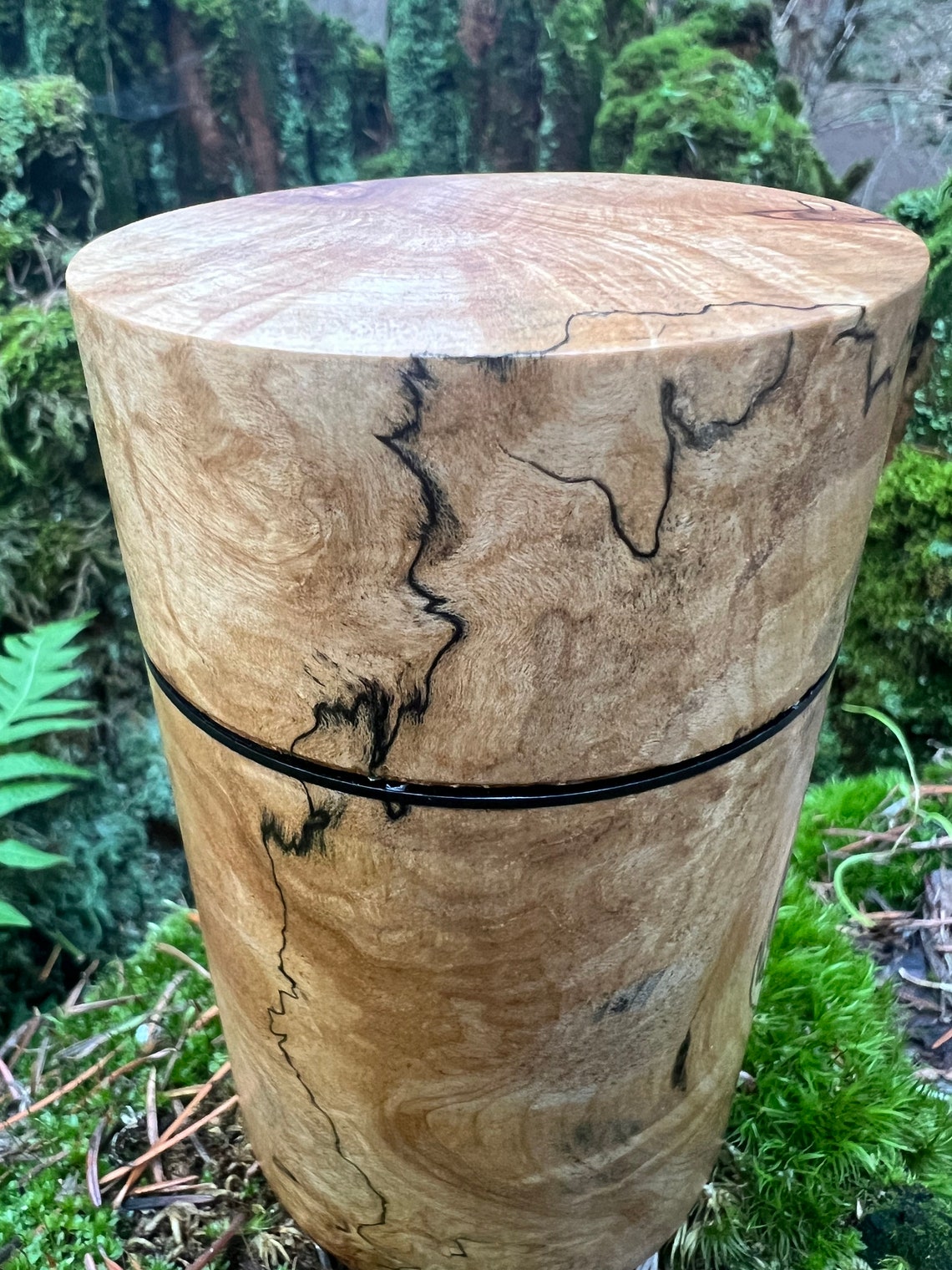 Figured Spalted Maple Box With African Blackwood 0109 - Etsy