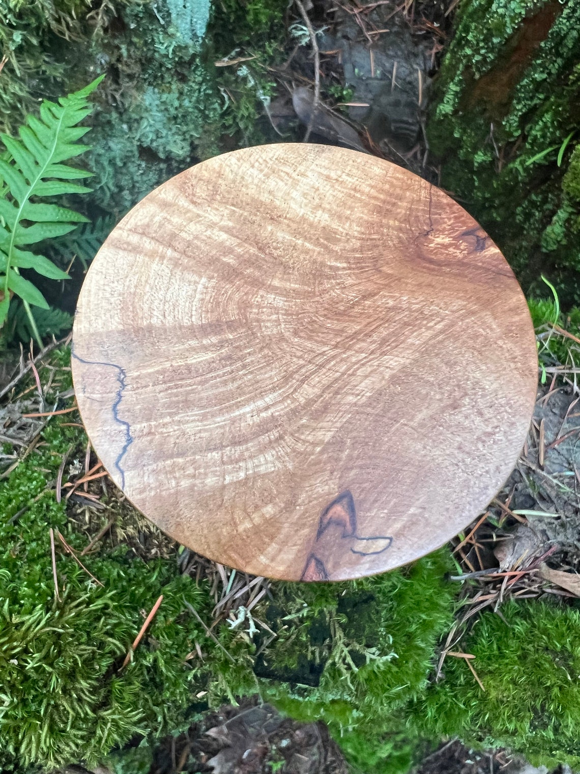 Figured Spalted Maple Box With African Blackwood #0109 - Etsy