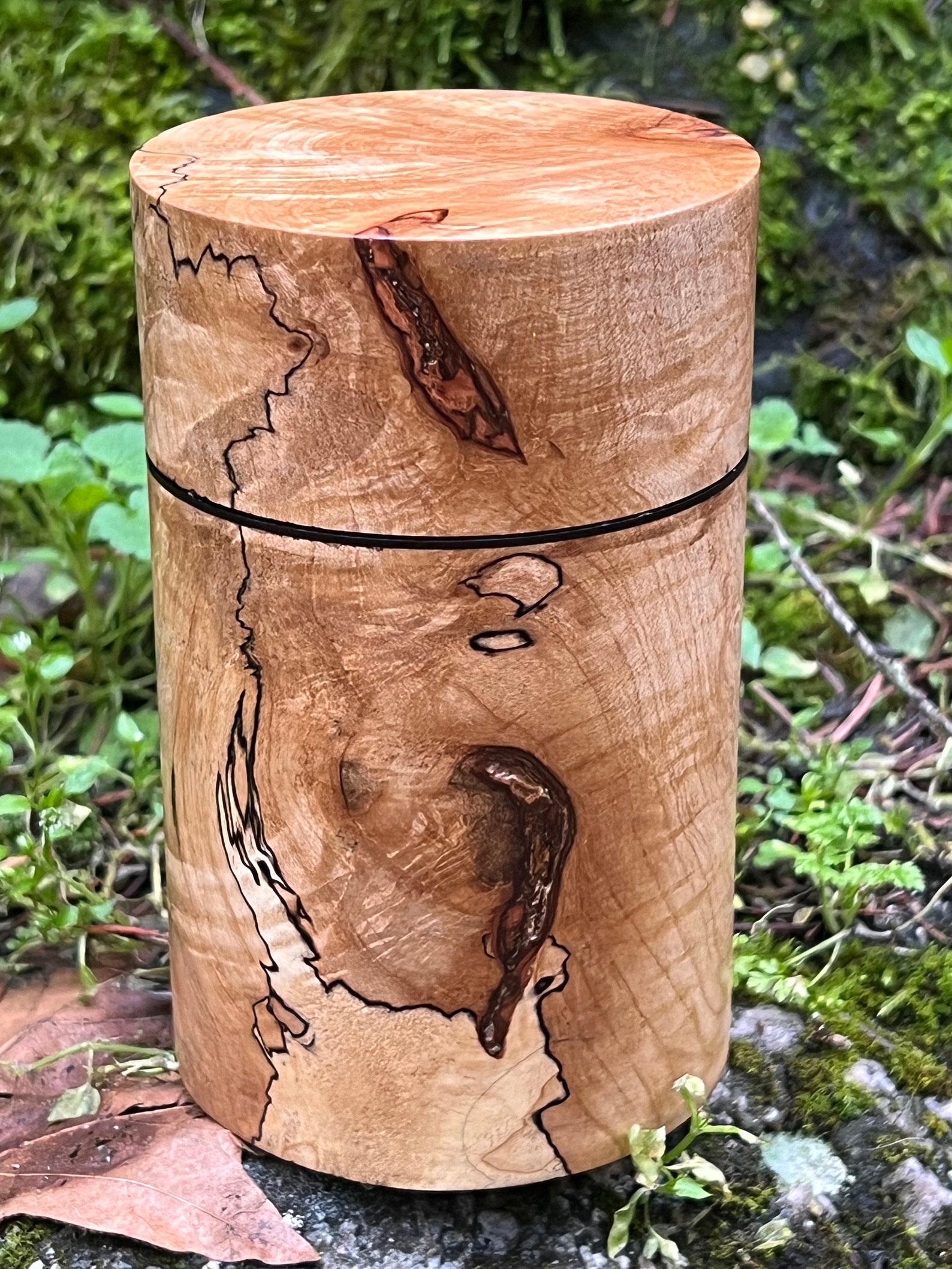 Figured Spalted Maple Box With African Blackwood #0109 - Etsy