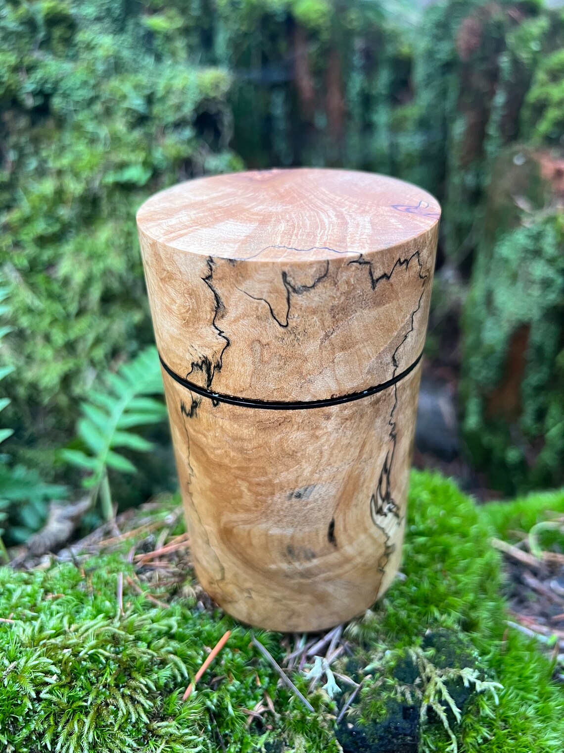 Figured Spalted Maple Box With African Blackwood #0109 - Etsy