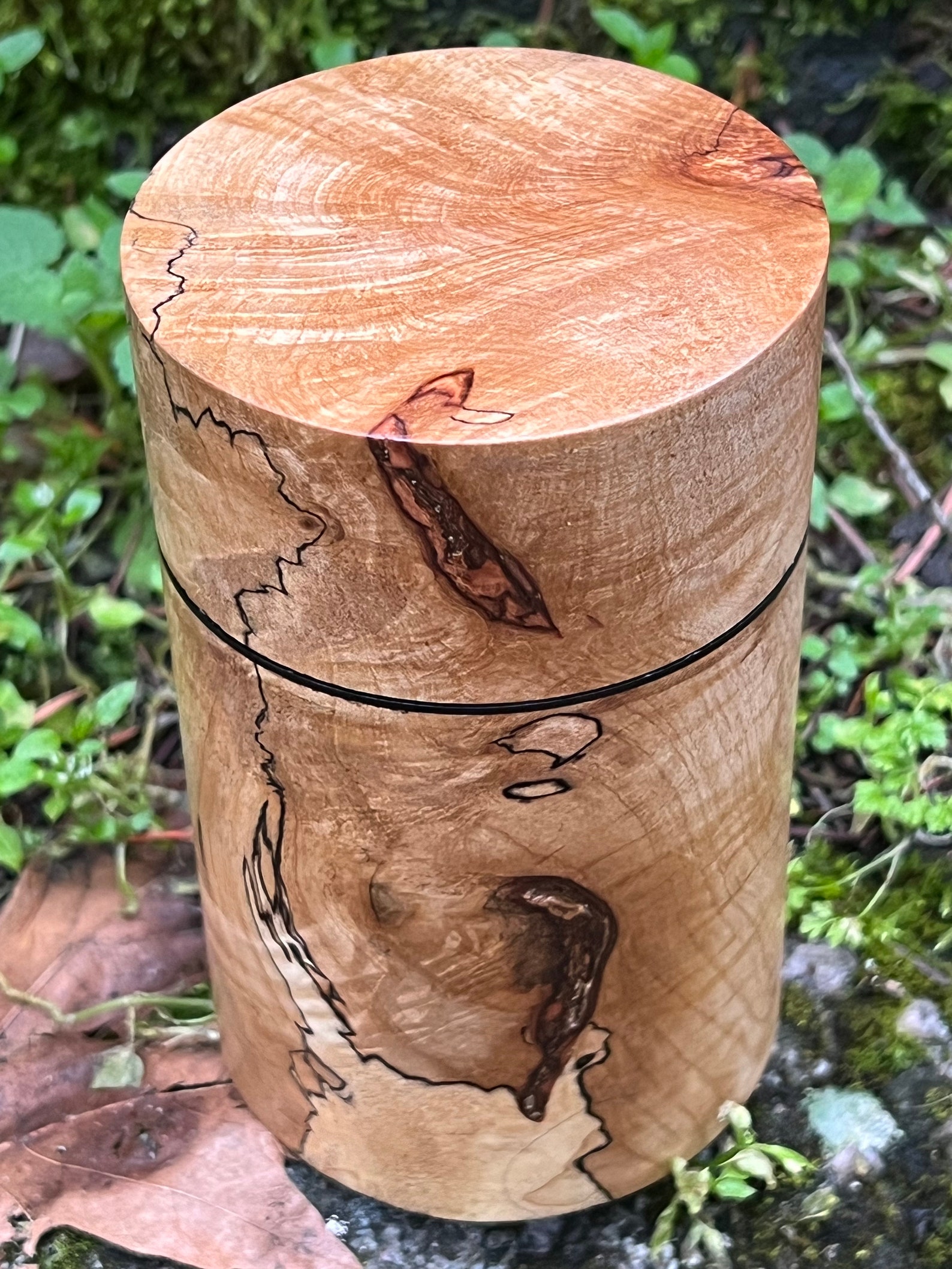 Figured Spalted Maple Box With African Blackwood #0109 - Etsy
