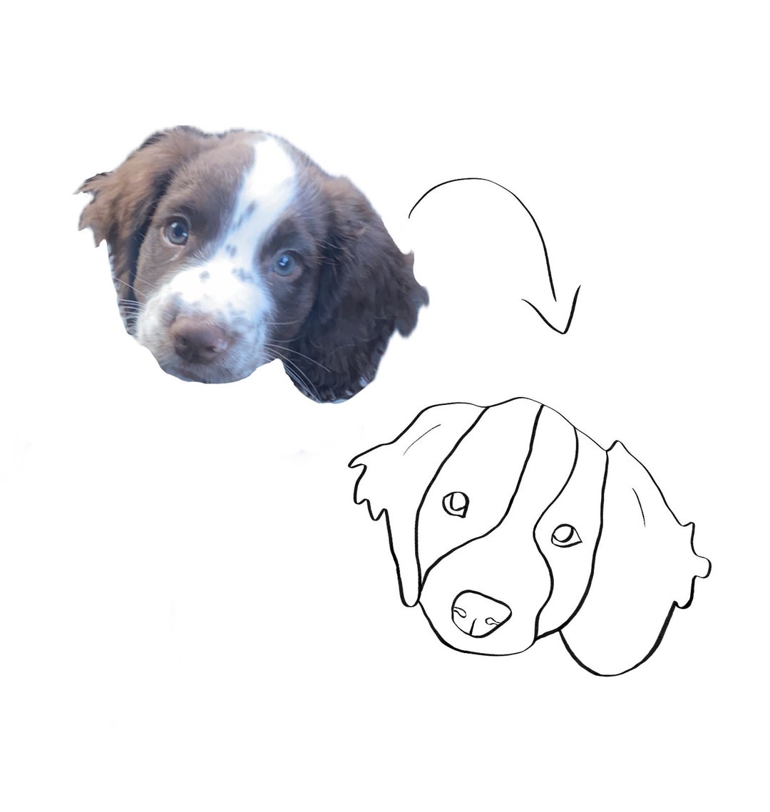 Custom Outline Drawing of Your Beloved Pet - Etsy