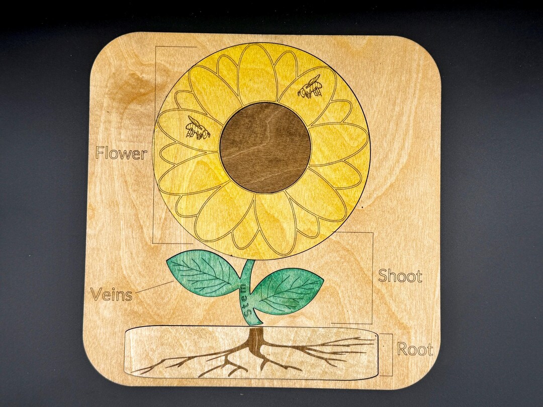 Sunflower Anatomy Wooden Puzzle: Montessori Stem Learning - Etsy