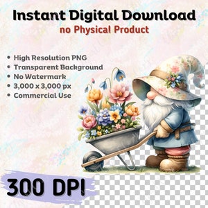 33 Spring Gnome Clipart Bundle, Cute Gnome Clipart, Gnome PNG ...