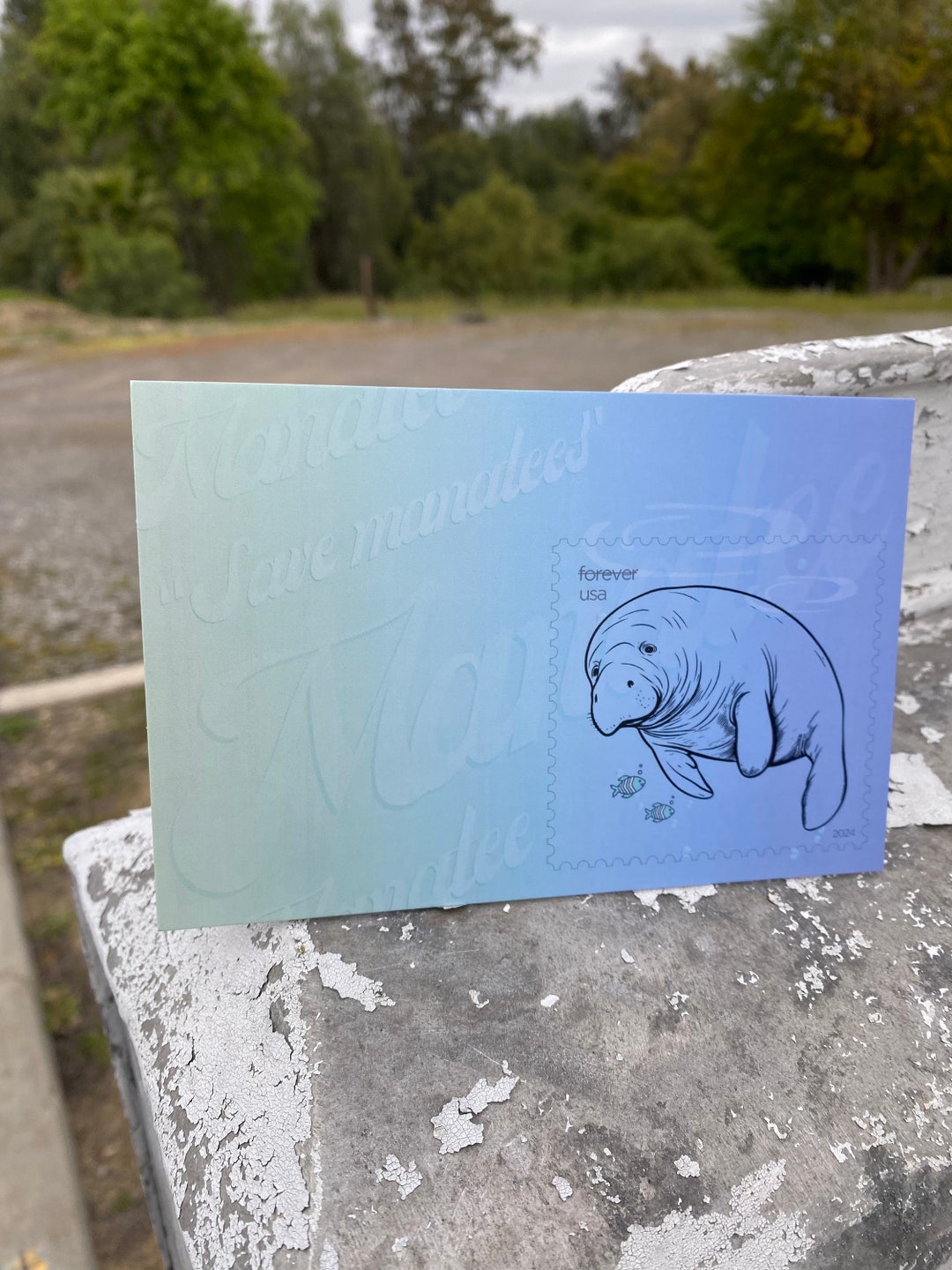 Manatee Postcard 2024 Manatee Stamp Match Save the Manatees Postage ...