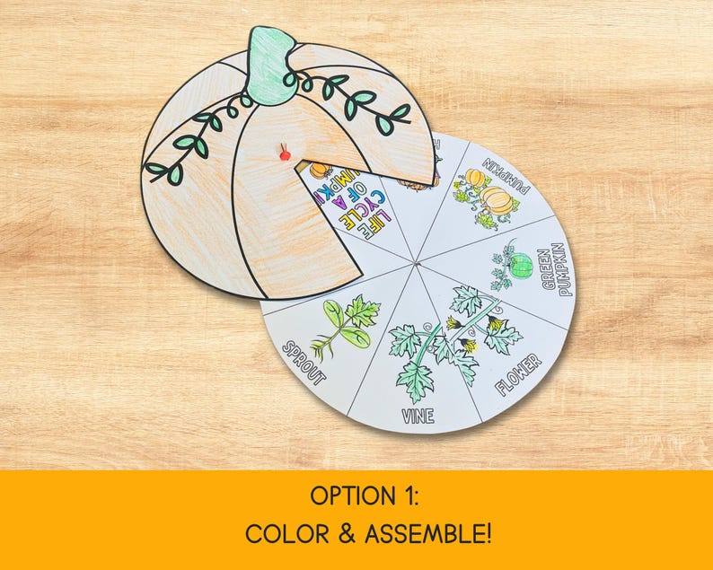 Pumpkin Life Cycle Spinner Wheel Coloring Craft, Life Cycle of a ...