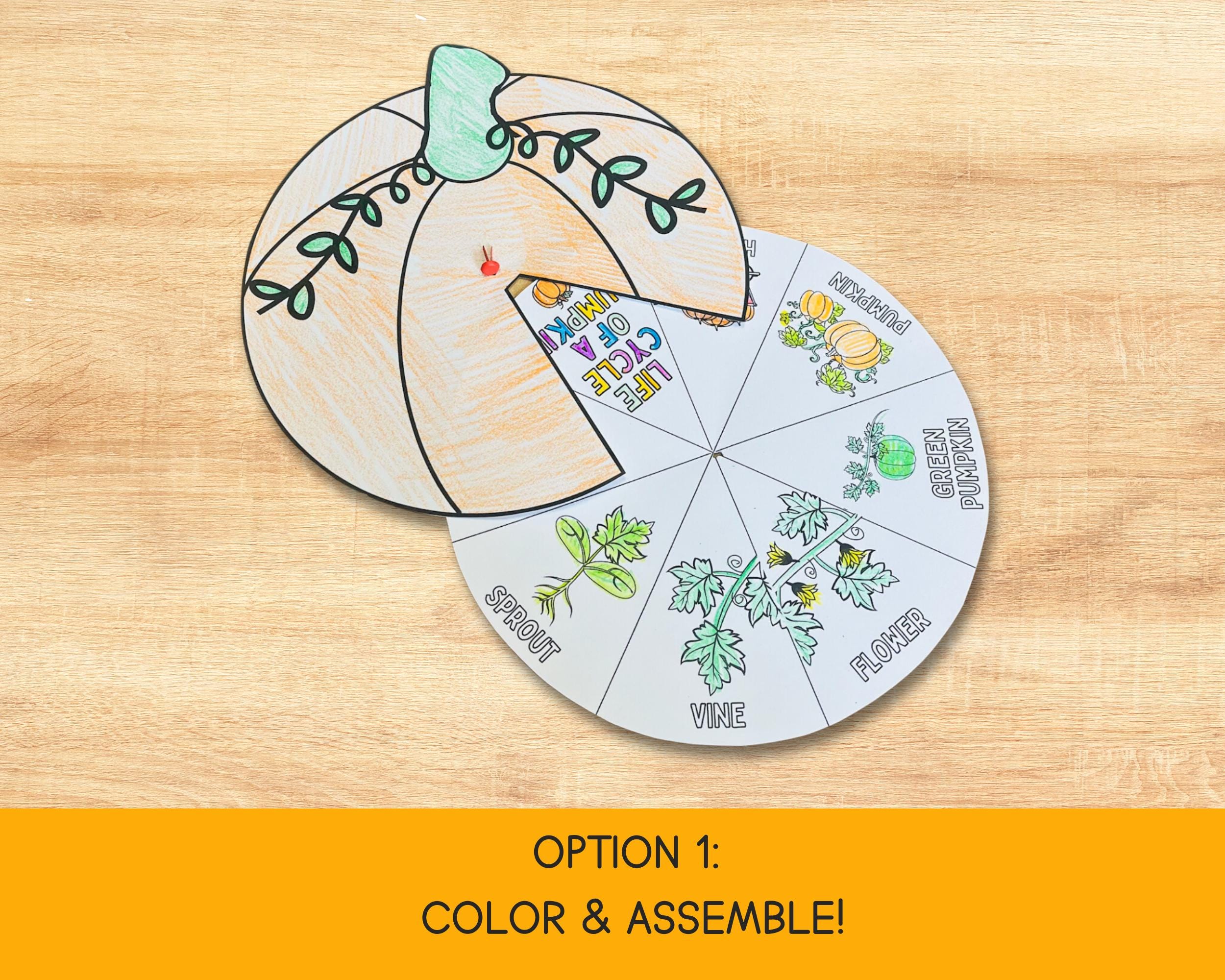 Pumpkin Life Cycle Spinner Wheel Coloring Craft, Life Cycle of a ...