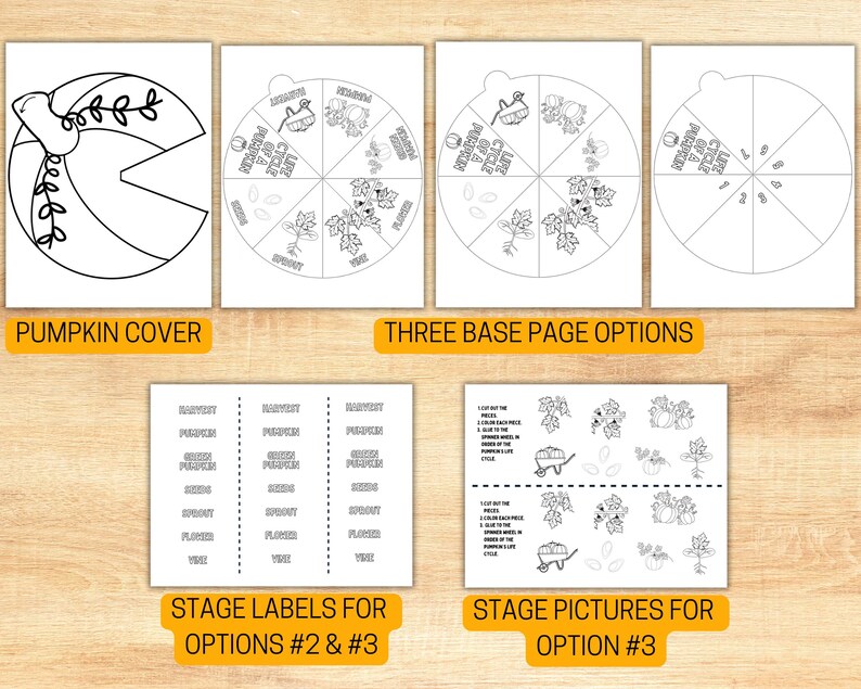 Pumpkin Life Cycle Spinner Wheel: Coloring Craft Activity (digital ...
