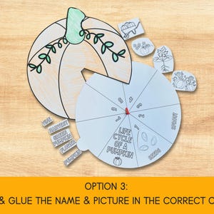 Pumpkin Life Cycle Spinner Wheel: Coloring Craft Activity (digital ...