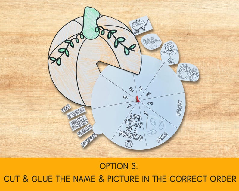 Pumpkin Life Cycle Spinner Wheel Coloring Craft, Life Cycle of a ...