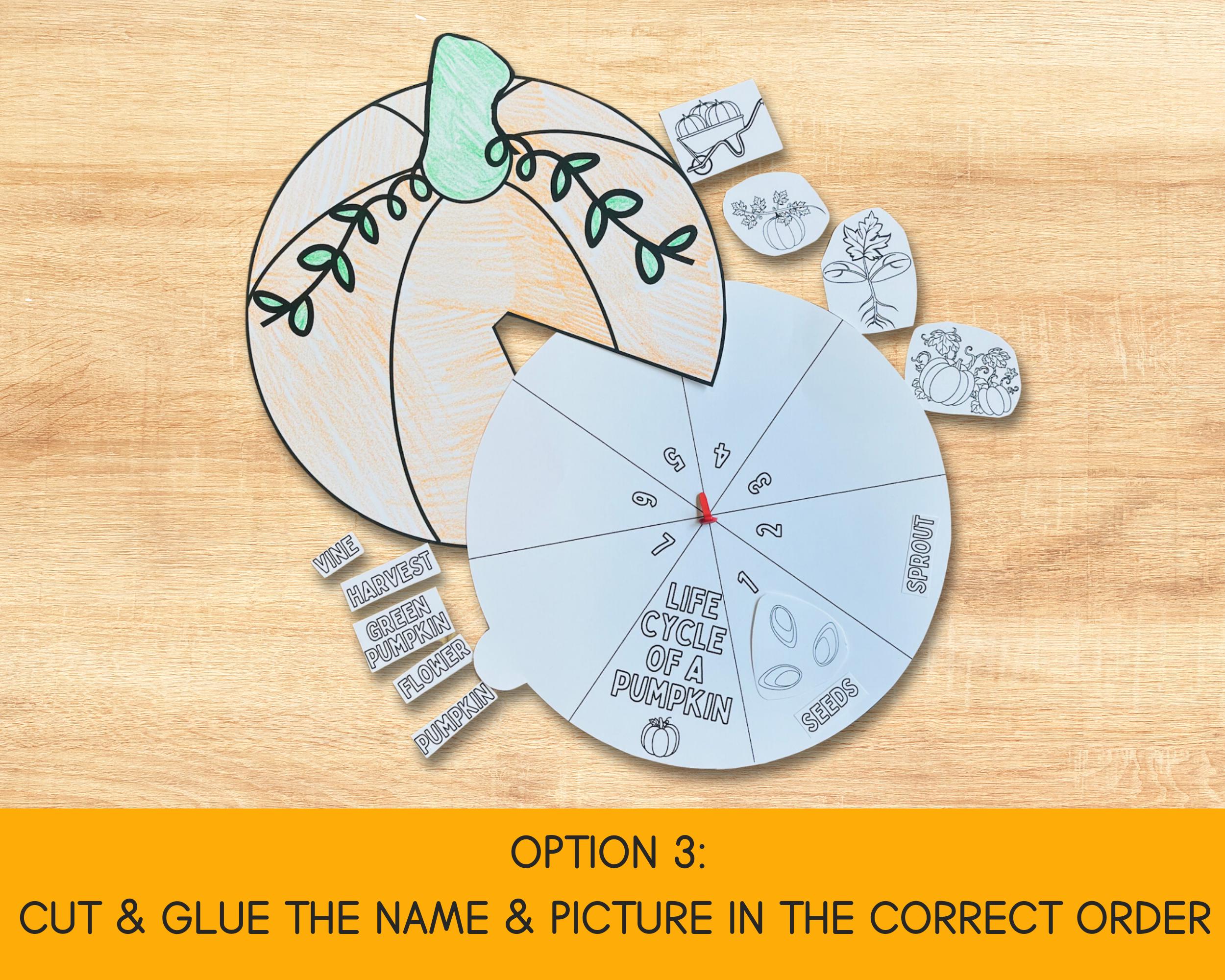 Pumpkin Life Cycle Spinner Wheel: Coloring Craft Activity (digital ...