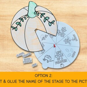 Pumpkin Life Cycle Spinner Wheel Coloring Craft, Life Cycle of a ...