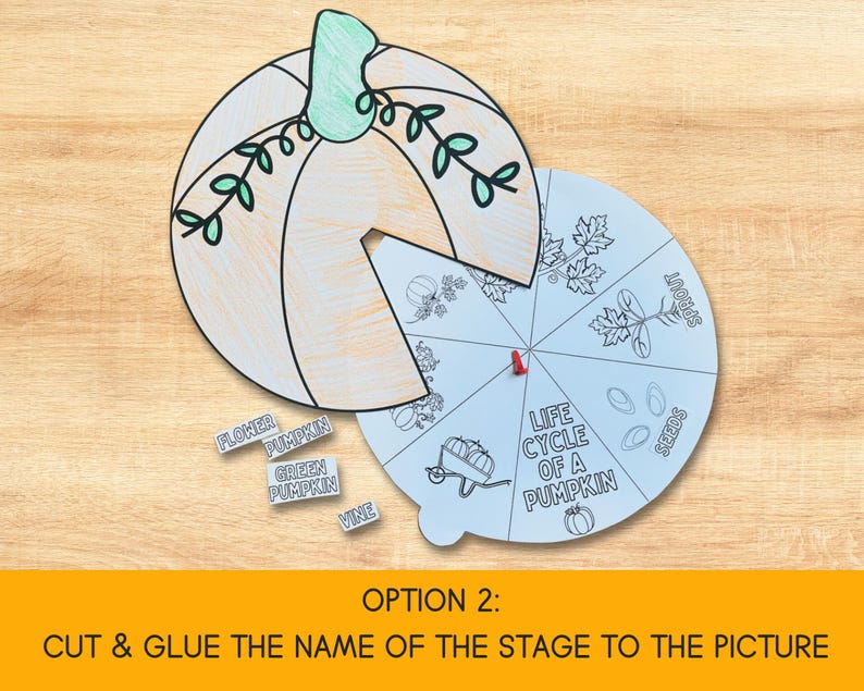 Pumpkin Life Cycle Spinner Wheel: Coloring Craft Activity (digital ...