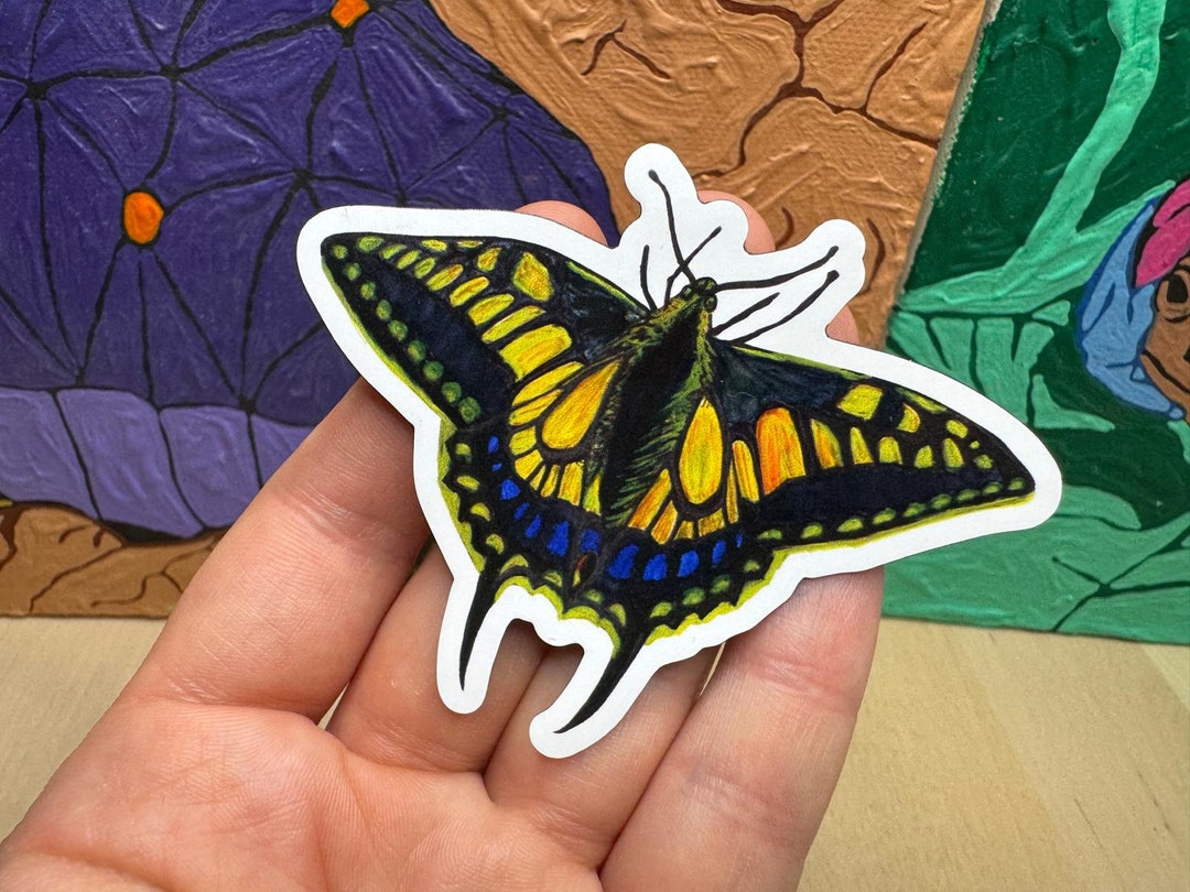 Butterfly Magnet//fridge Magnet//refrigerator Decor//butterfly ...
