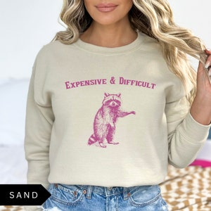 Expensive and Difficult Sweatshirt, Raccoon Shirt, Funny Sweatshirt ...