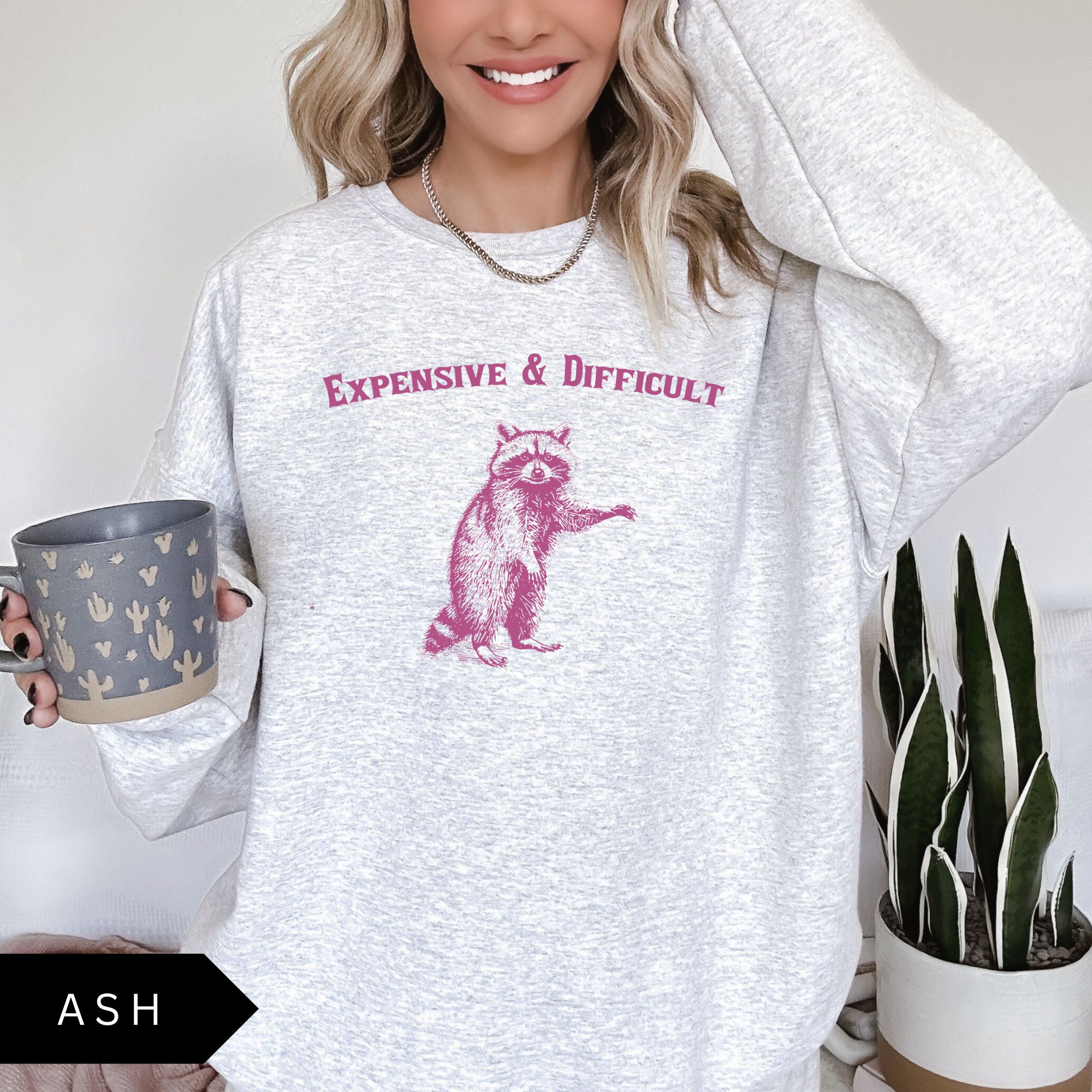 Expensive and Difficult Sweatshirt, Raccoon Shirt, Funny Sweatshirt ...