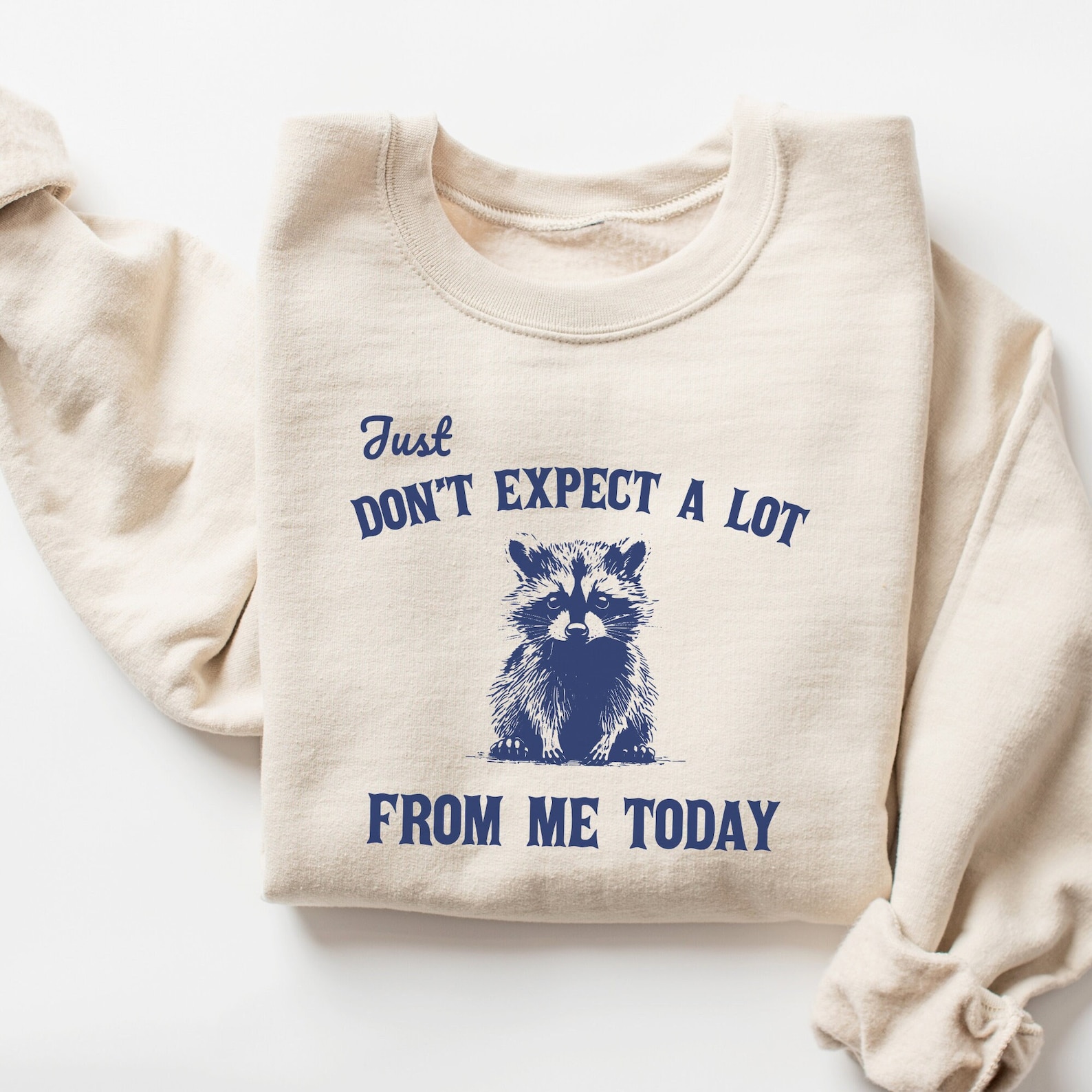 Don't Expect A Lot From Me Today Sweatshirt, Funny Sweatshirt, Raccoon ...