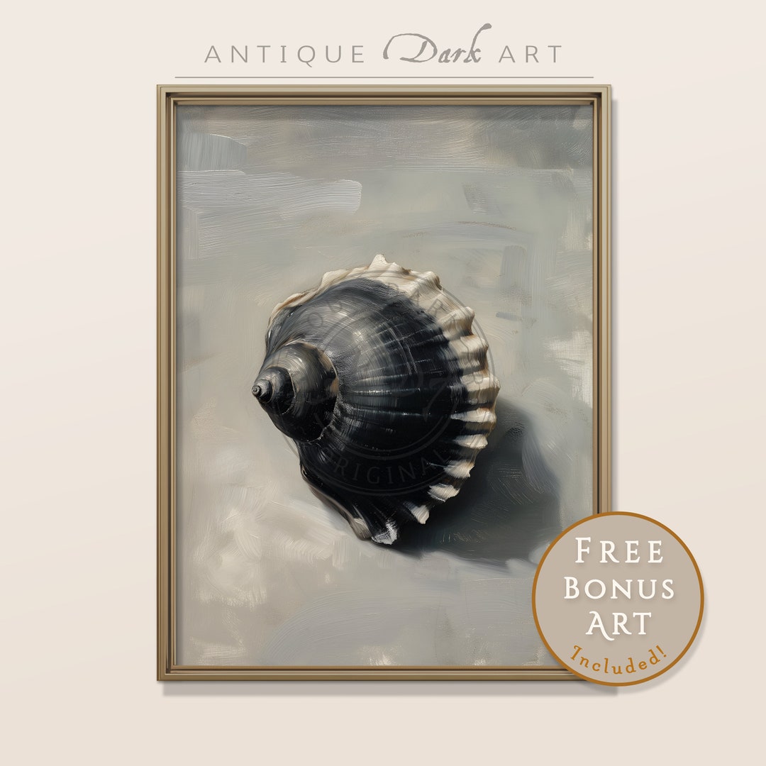 Black Seashell White Sand Beach, Subtle Black Gray White Nature ...