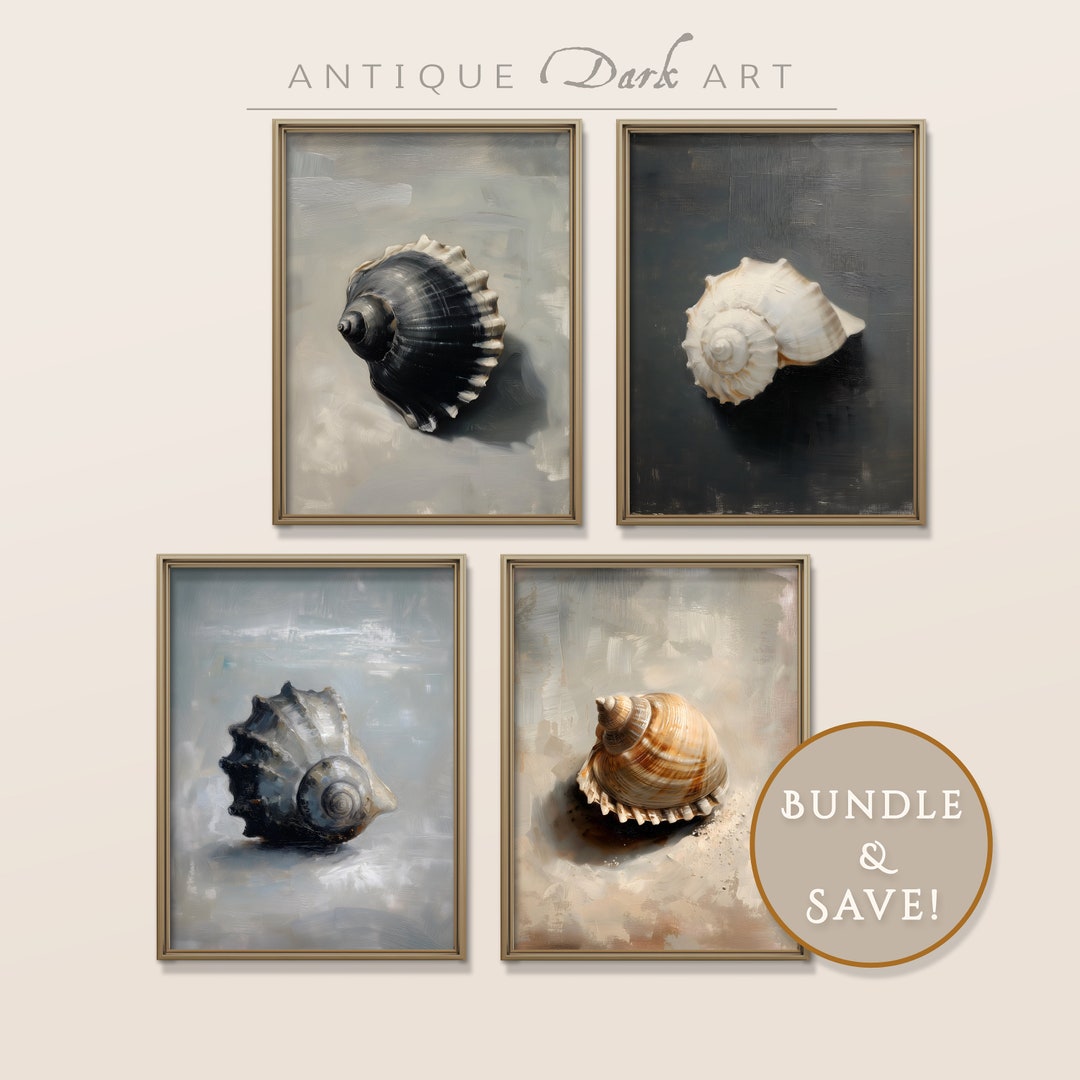 Shell Paintings Collectionneutral Tones, Black, Whitevintage ...