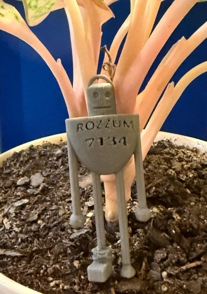 Roz the Wild Robot Keychain - Etsy