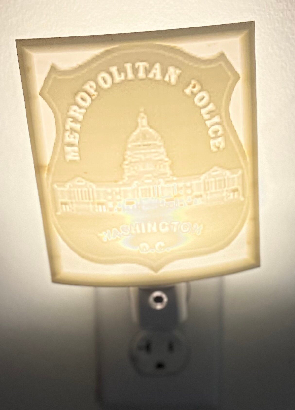 Custom 3D Printed Lithophane Night Light and Plug-in Light Source - Etsy