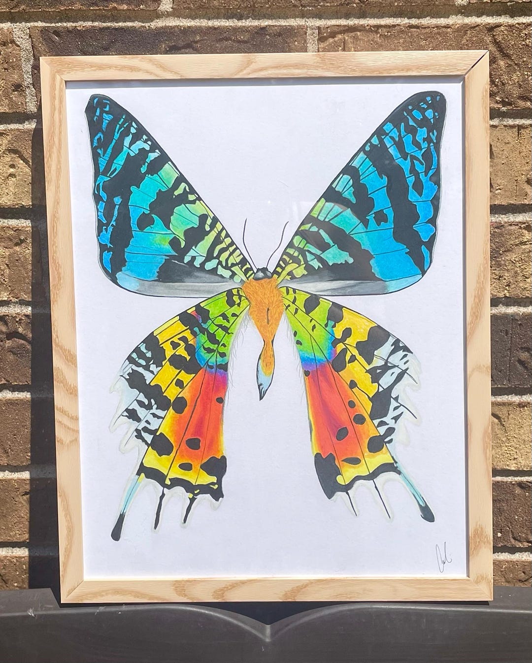 Drawing Sunset Moth, Colored Pencil Drawing, Original Drawing, Wall Art ...