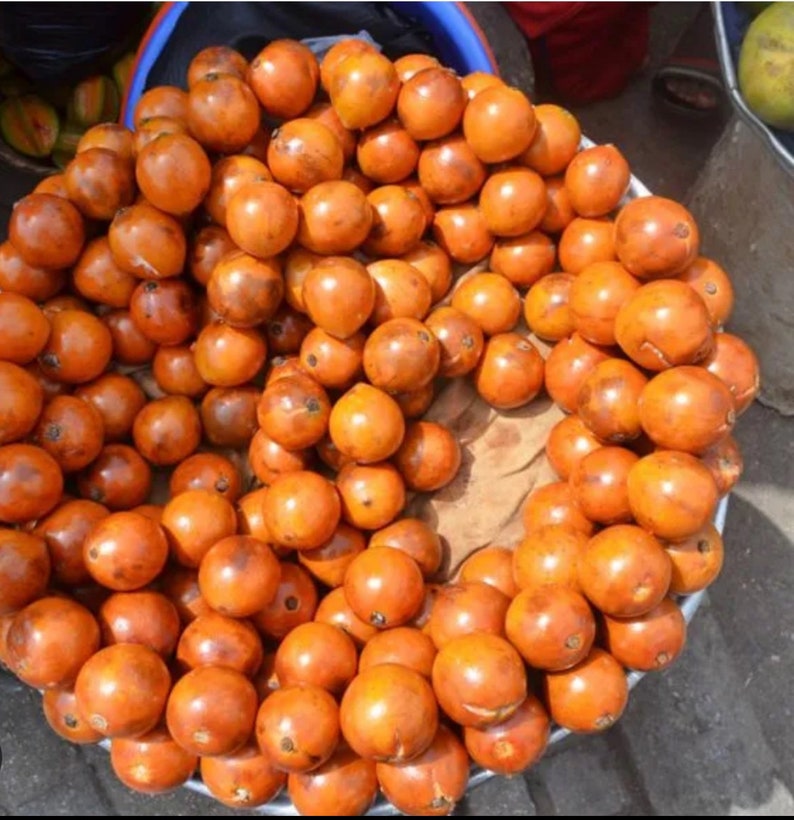 Sold Out Until Next Year - Etsy