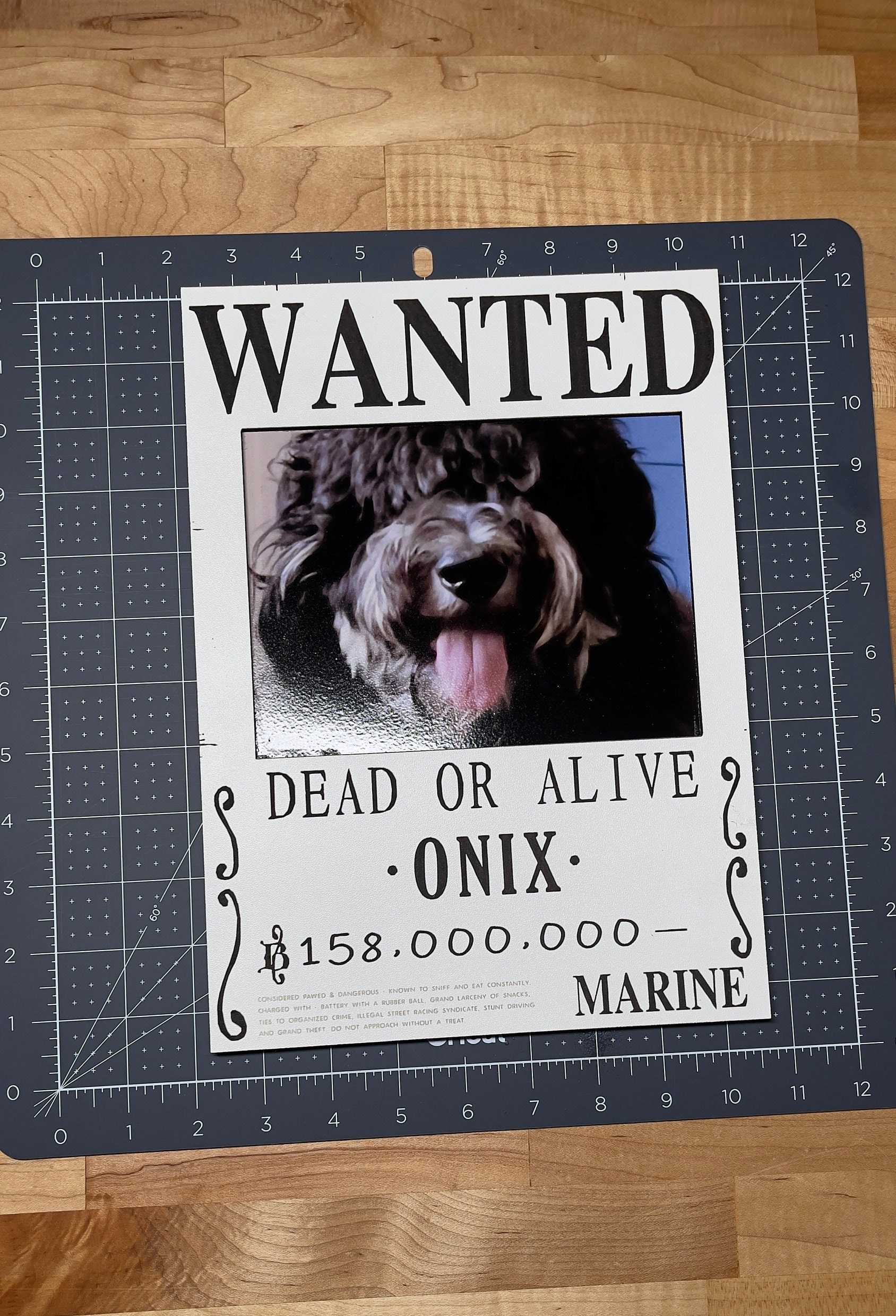 Custom Engraved - One Piece - Wanted Poster - Etsy
