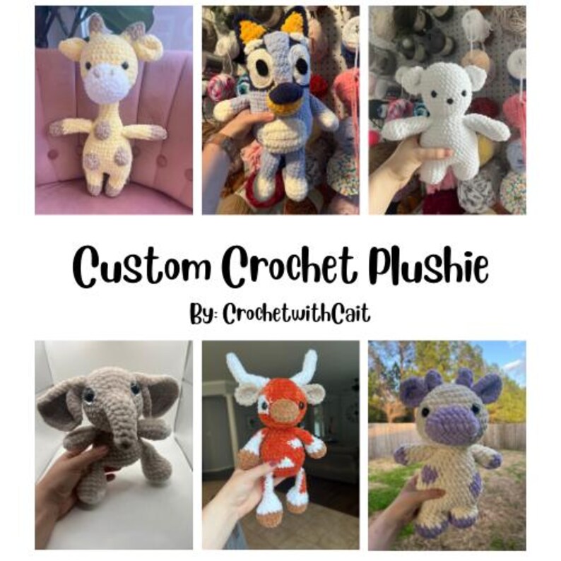 Custom Crochet Plushie, Amigurumi, Stuffed Animal, Toy - Etsy