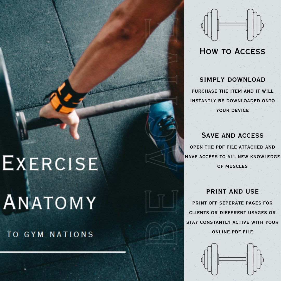 Exercise Anatomy Information Pack, Muscle Knowledge, All Muscles Worked ...